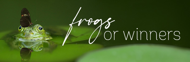 Frogs or Winners | Expert Developments Limited
