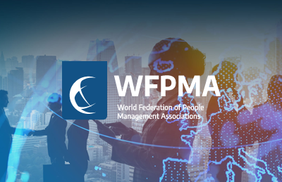 Expert | Website Design and Web Development | Wellington NZ